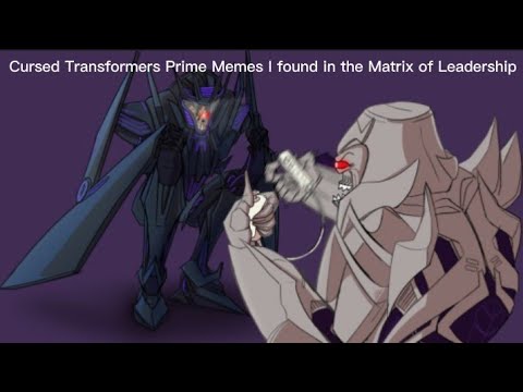 Cursed Transformers Prime Memes I found in the Matrix of Leadership ...