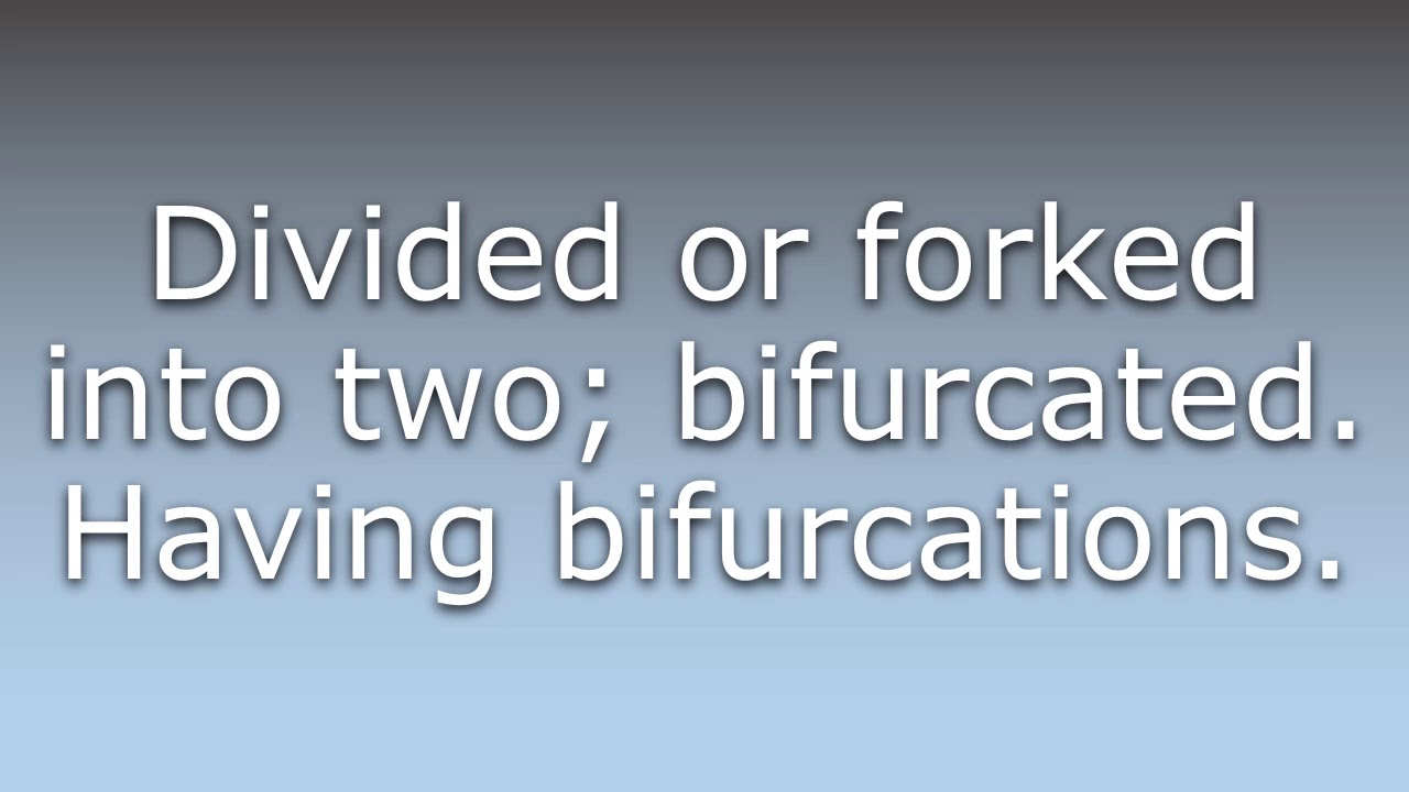 What does Bifurcate mean? - YouTube