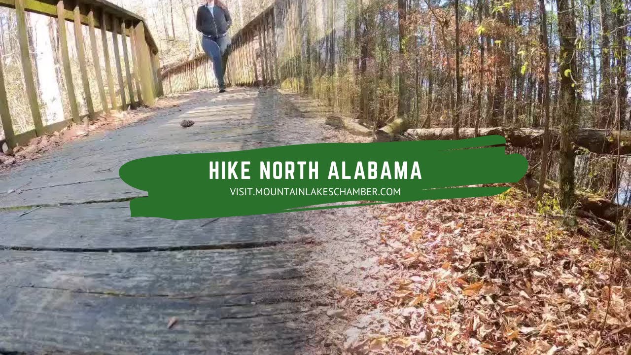 One of the Best Hikes in North Alabama - YouTube