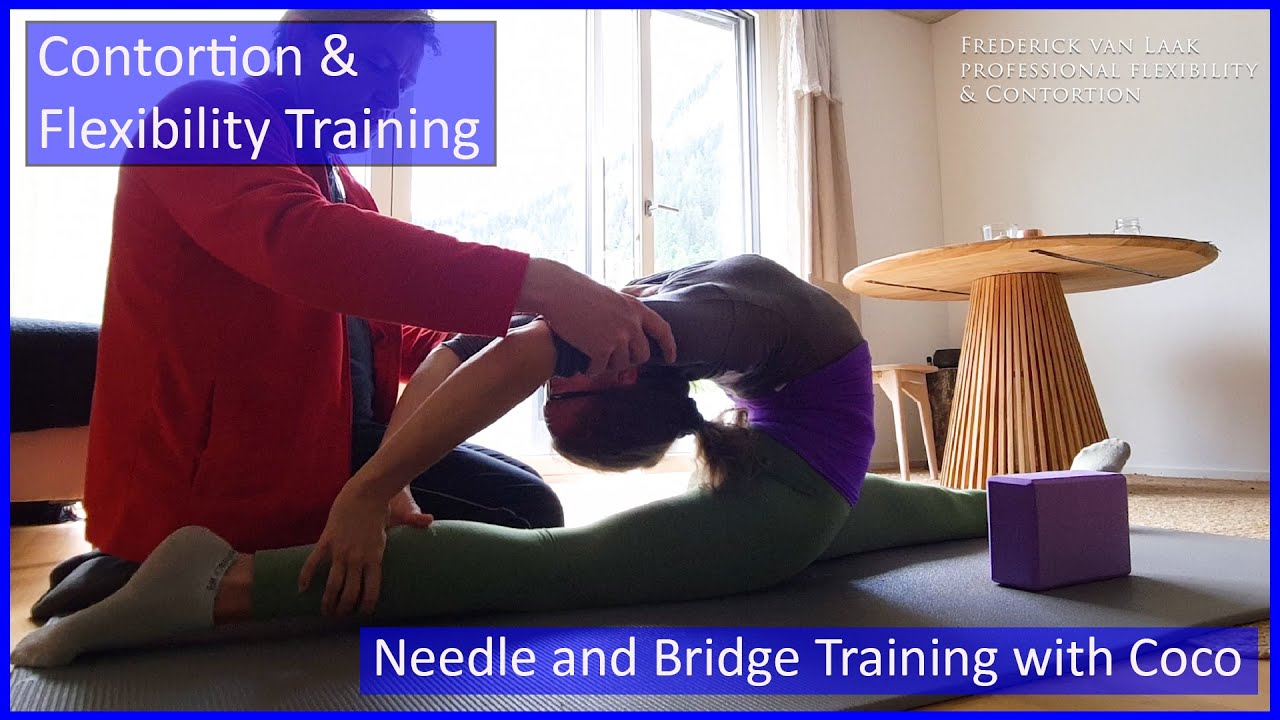 Contortion Training by Flexyart 190: Needle/Bridge with Coco-Also for ...