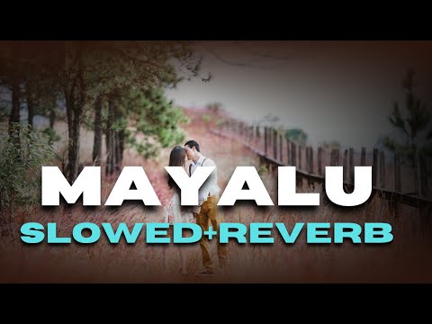 Mayalu(slowed and reverb)Yabesb Thapa,Vek |Nepali Lofi Song - YouTube
