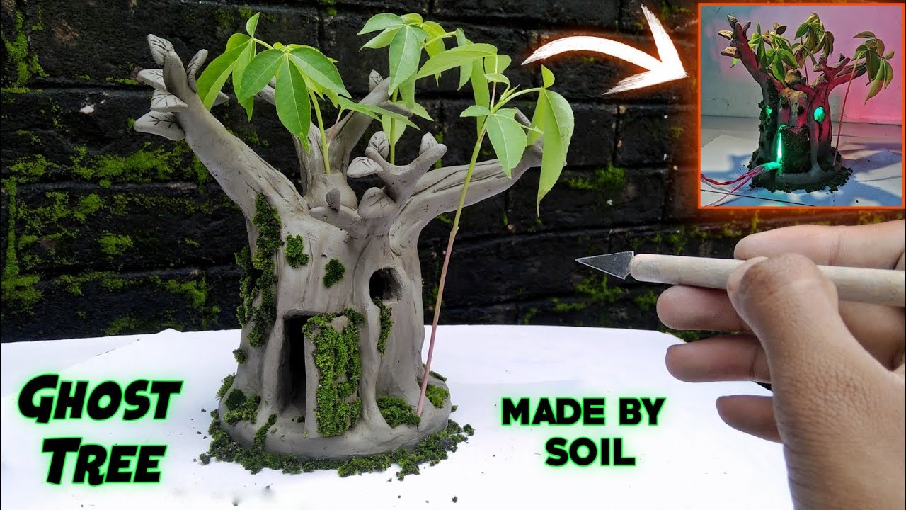 Ghost Tree - How to make so old ghost tree - soil's ghost tree - soil ...