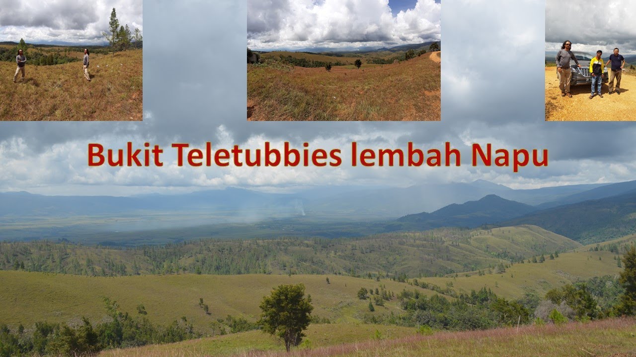 Bukit Teletubbies Lembah Napu, Poso Sulawesi Tengah - YouTube