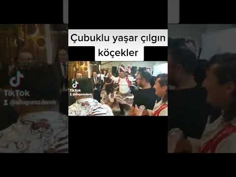 Çubuklu yaşar ve çılgın köçekler