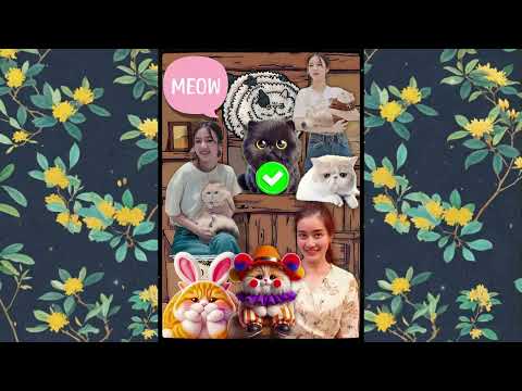 Only cats. This group contains only images of cats. - YouTube