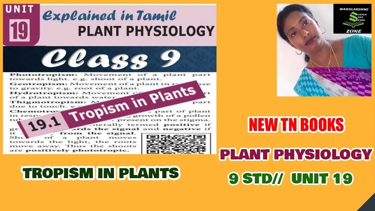 PLANT PHYSIOLOGY (1) - TROPISM IN PLANTS - UNIT 19 - 9 TH STD - NEW TN ...
