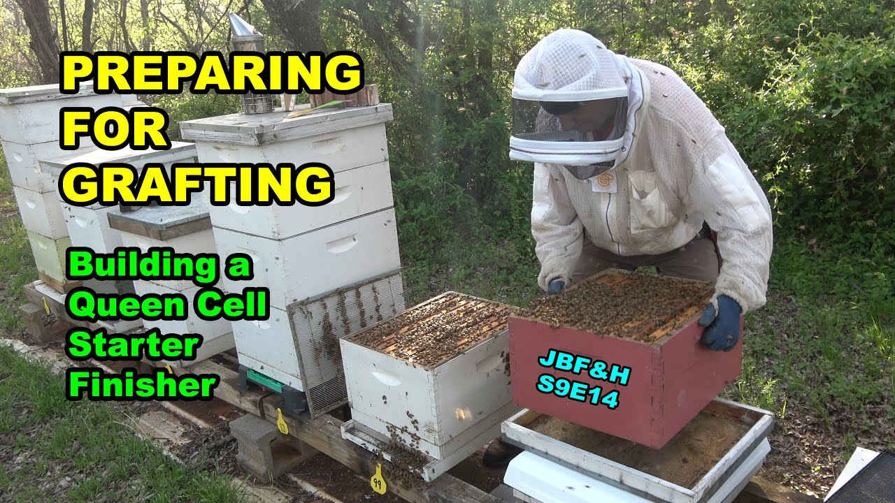 Preparing for Grafting - Bulding a Queen Cell Starter/Finisher 2025 S9E14 #beekeeping - YouTube