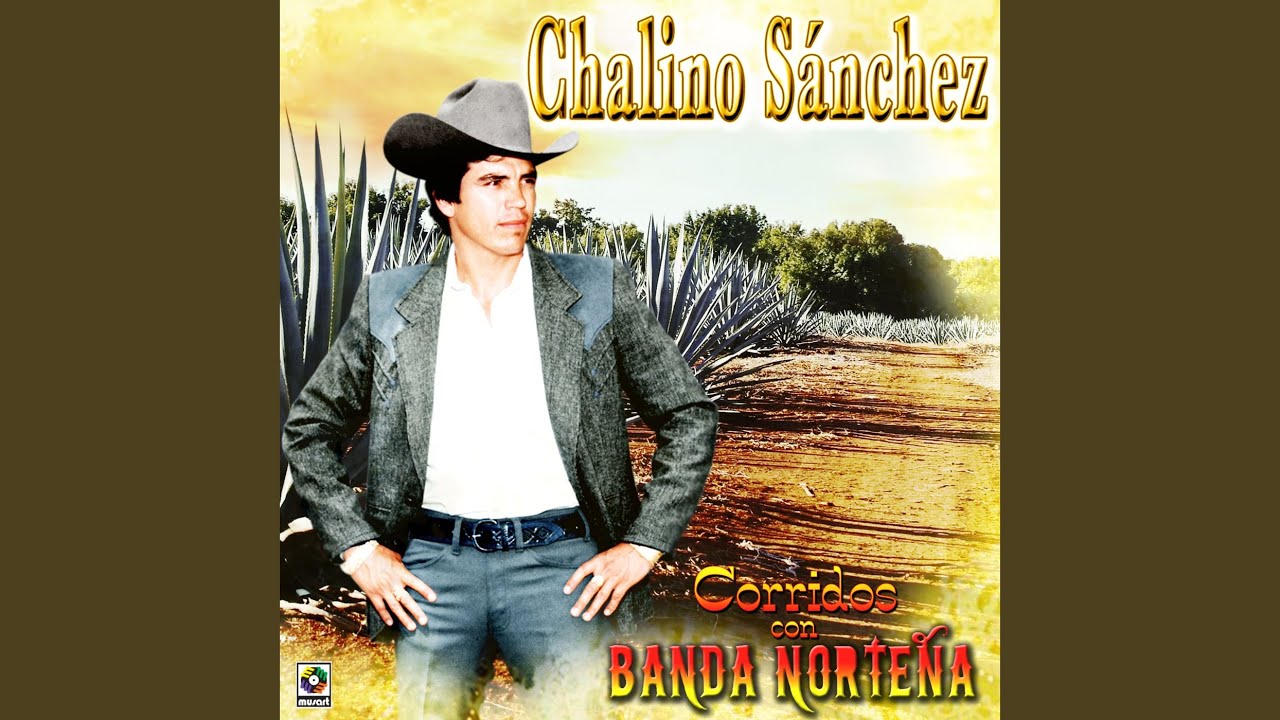 Mario Portillo - YouTube