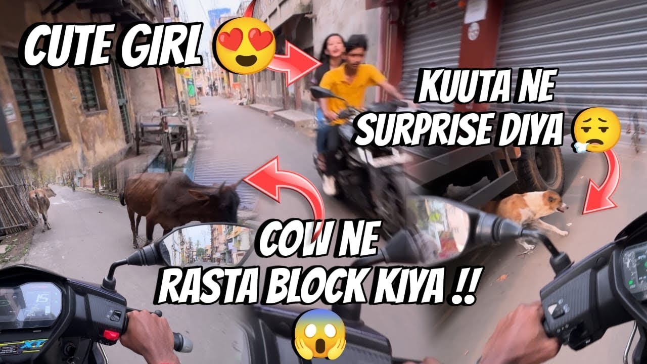 Cute Girls Reaction !! Cow ne rasta block kardiya !! #motovlog # ...