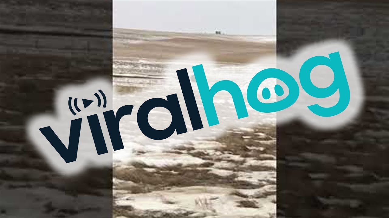 Strong Winds Effortlessly Blows Hay Bale Around || ViralHog - YouTube