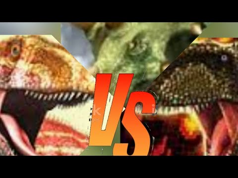 Afrovenator vs Anchiceratops vs Rajasaurus [AMV] Dino Versus