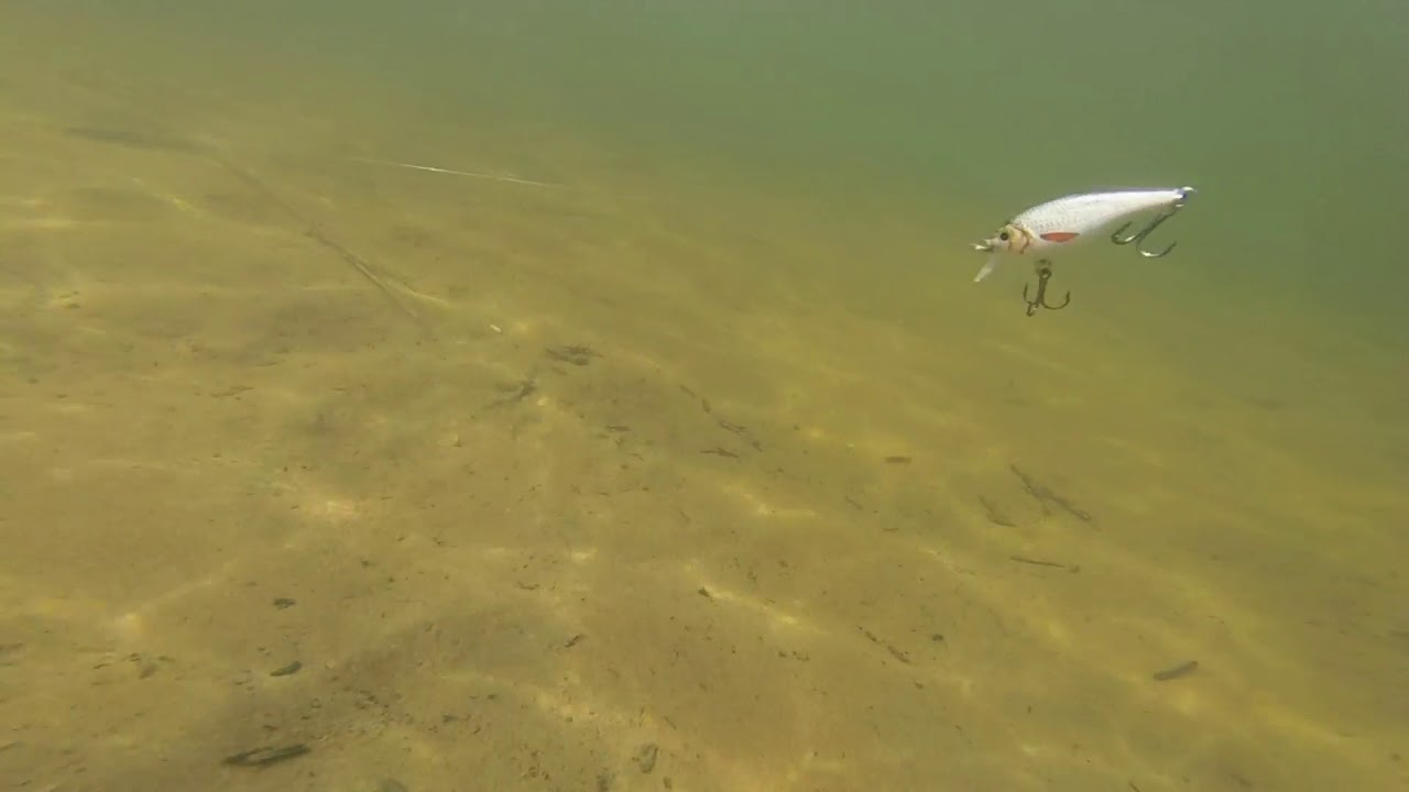 fishx Crank Bait - YouTube