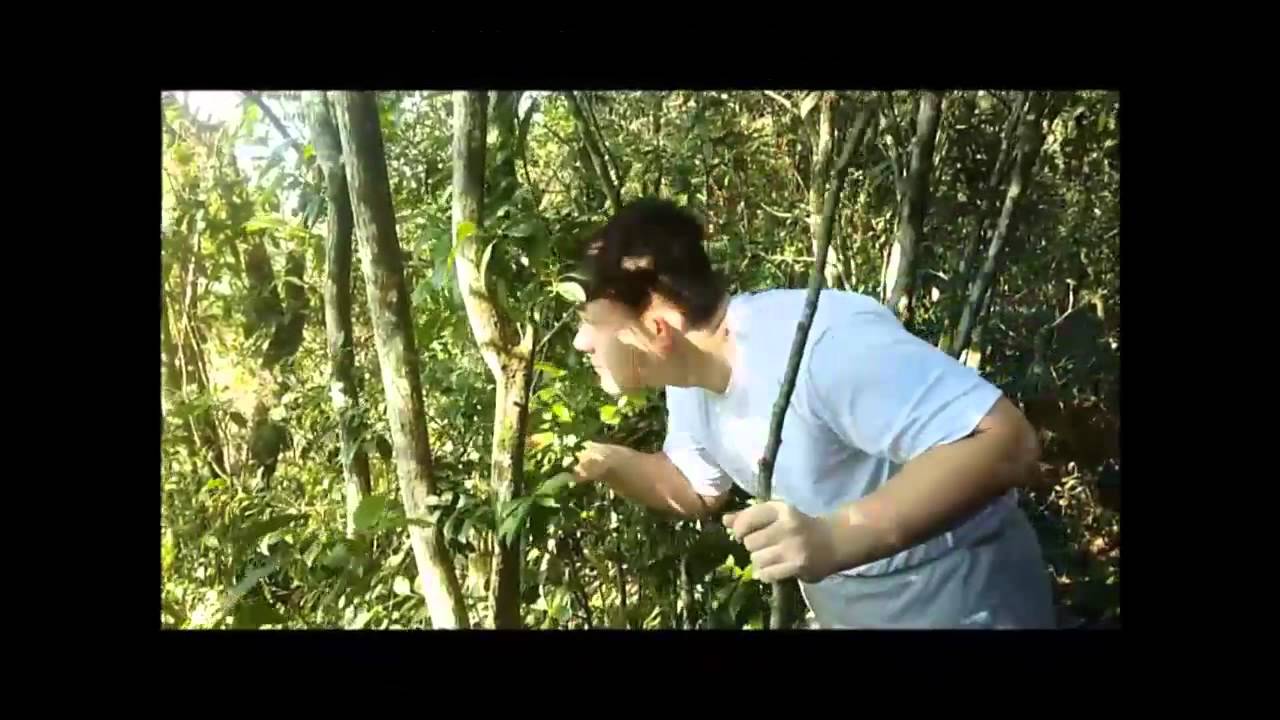 FILME RUTE COMPLETO MBCV 2015 - YouTube