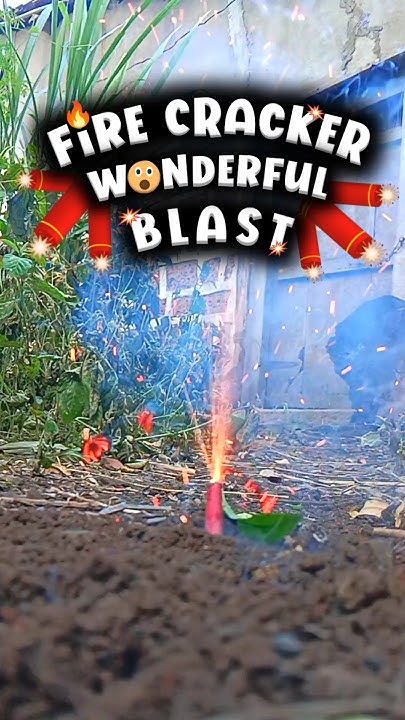 FiRE CrACKeR WoNDeRFUL Blast #shorts #short #shortsfeed #shortsvideo #firecracker #blast # ...