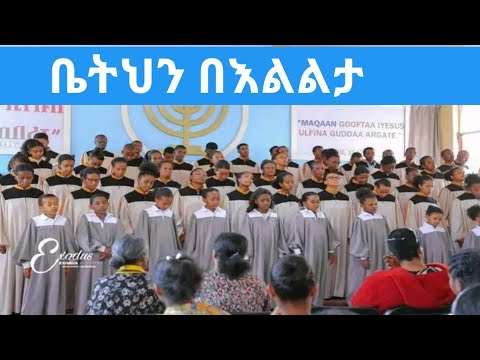 worship time In hawassa - ሀዋሳ እናት አጢቢያ -Apostolic church of Ethiopia ...