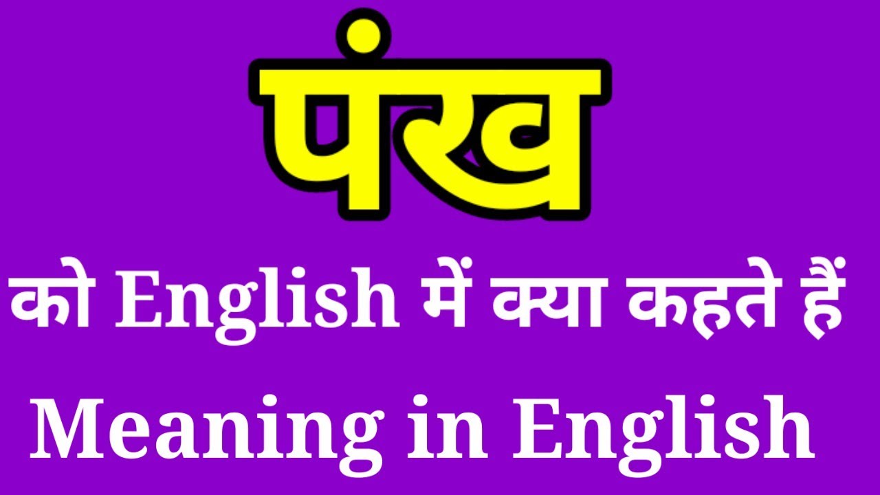 पंख को English में क्या बोलते हैं? | Meaning of Pankh in English ...