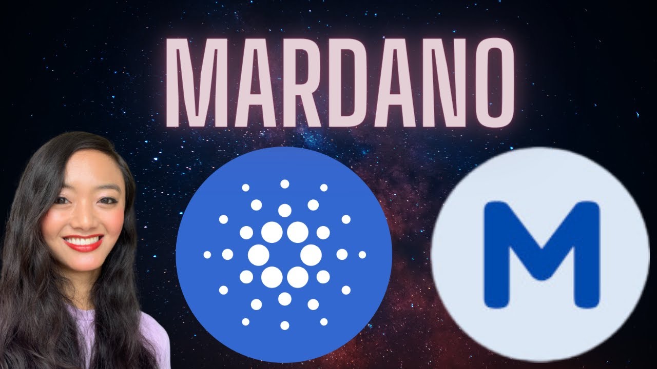 New Cardano Tool! How Mardano is Making Cardano More Accessible for ...