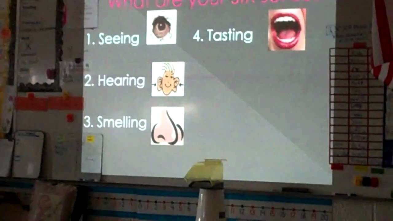 Sensory Image 4th grade 2010 - YouTube