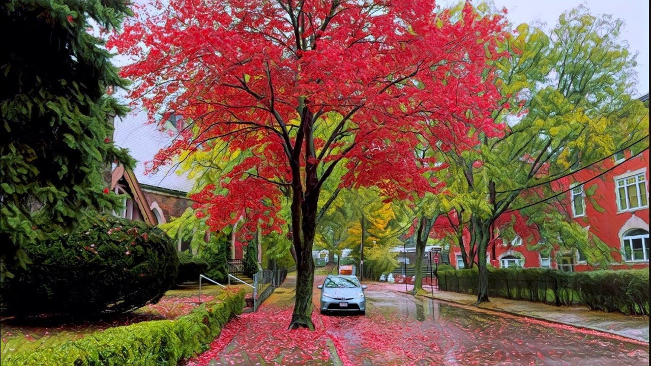Brookline is an Autumn Paradise | Cinematic relaxing walk in Brookline ...