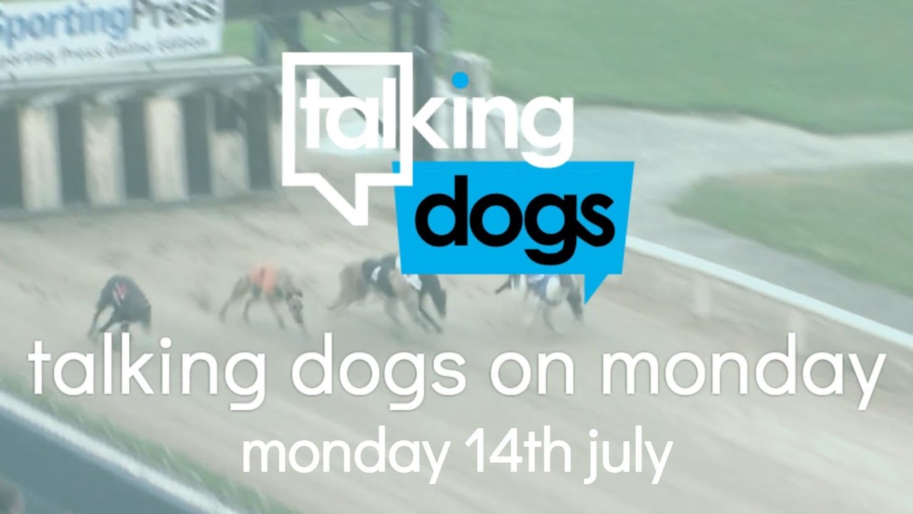 Talking Dogs On Monday 14th July - YouTube