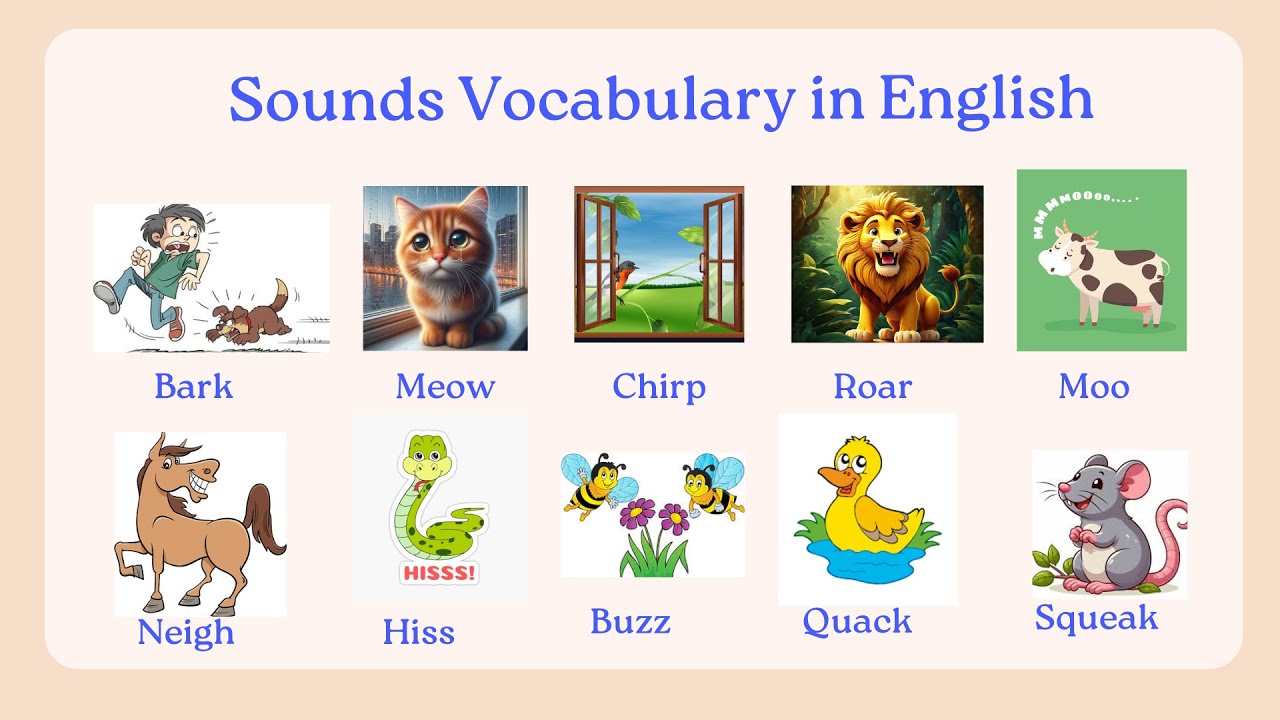 Animal Sounds Vocabulary in English with Examples.#animal #animal sound ...