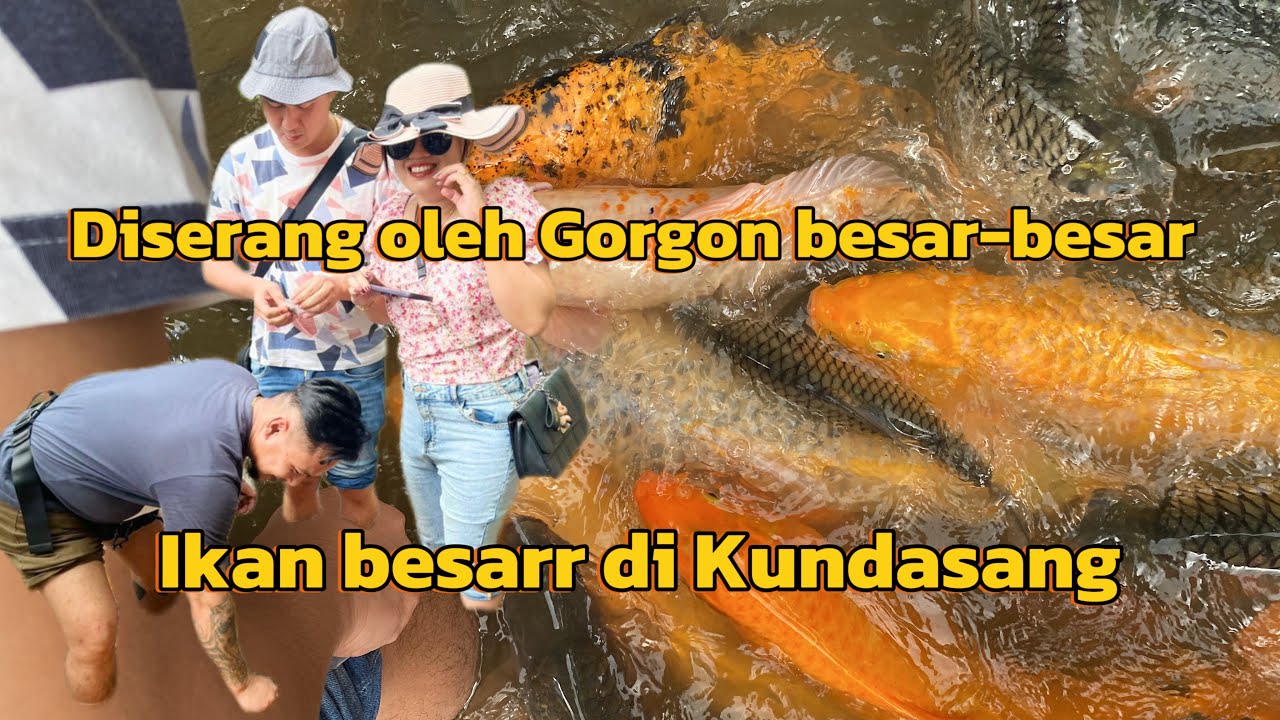 Trip to Sabah 2024 || Fish Spa di Bombon Kg Marakau || Mencuba makanan ...