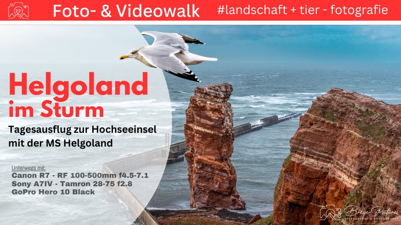 Helgoland, Tagesausflug zur Nordseeinsel mit der MS Helgoland von ...