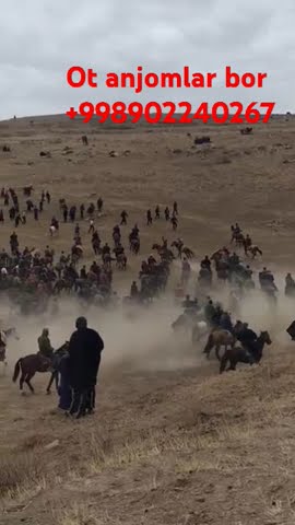 ULOQCHI OTLAR KO'PKARI OTLAR OT EGARLAR - YouTube