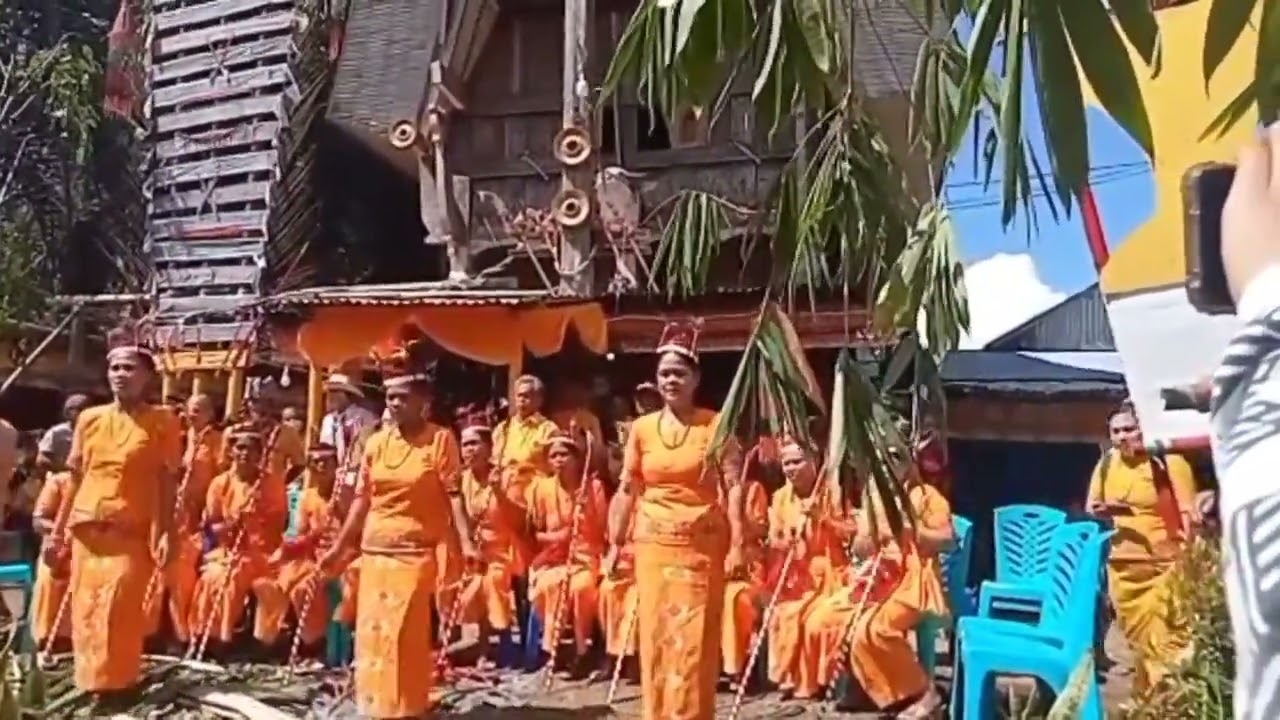 Seni dan Budaya.. Tarian Ma'Dandan dari TORAJA - YouTube