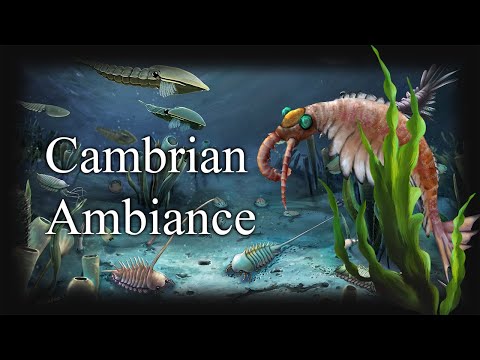 🌊✨Cambrian Ambiance For Your Paleozoic Soul | Relax, Meditate, Shower, Sleep & More | 1 Hour 🦐