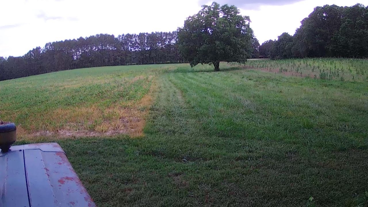Looking at Liberty® Herbicide 280 SL and mowing - YouTube