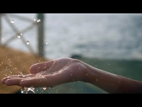 Georgia-Pacific: GP Cellulose & The Blue Hand™ Project - YouTube
