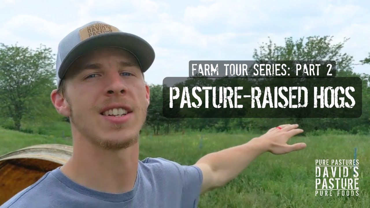 Raising Hogs at David's Pasture | Farm Tour Series (Part 2) - YouTube