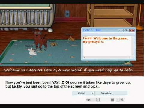 Petz 5 - Playing online with friends? - YouTube