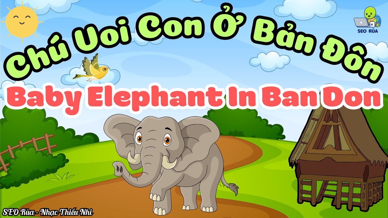 🐘 Chú Voi Con Ở Bản Đôn 🐘 Baby Elephant in Ban Don (Rock)🐢 SEO Rùa - 🎶 ...