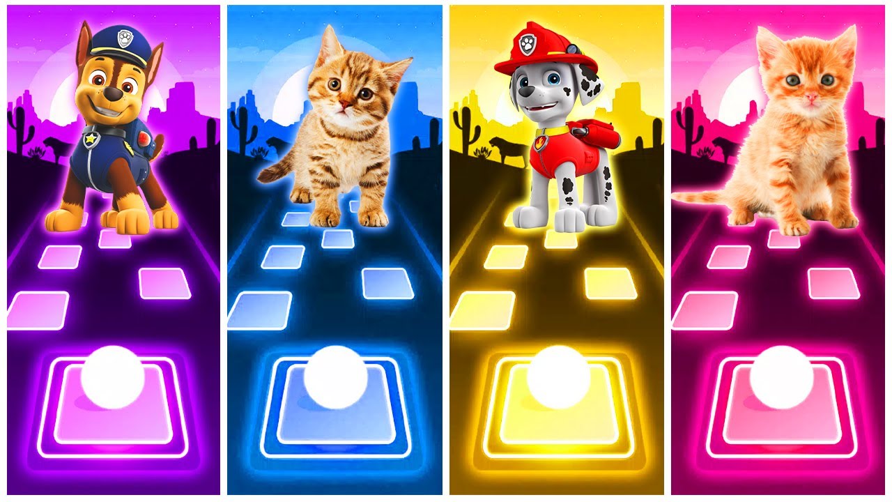 Paw Patrol Team Chase - Cat - Marshall - Cat Tiles Hop EDM Rush - YouTube