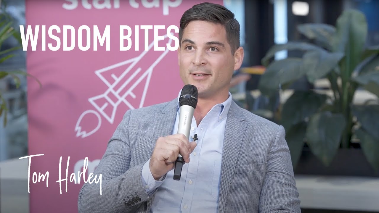 Tom Harley: Wisdom Bites #1 Q&A - YouTube