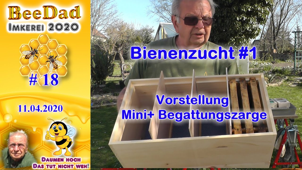 Bienenzucht #1 Imkerei und Bienen 2020 #18 - YouTube