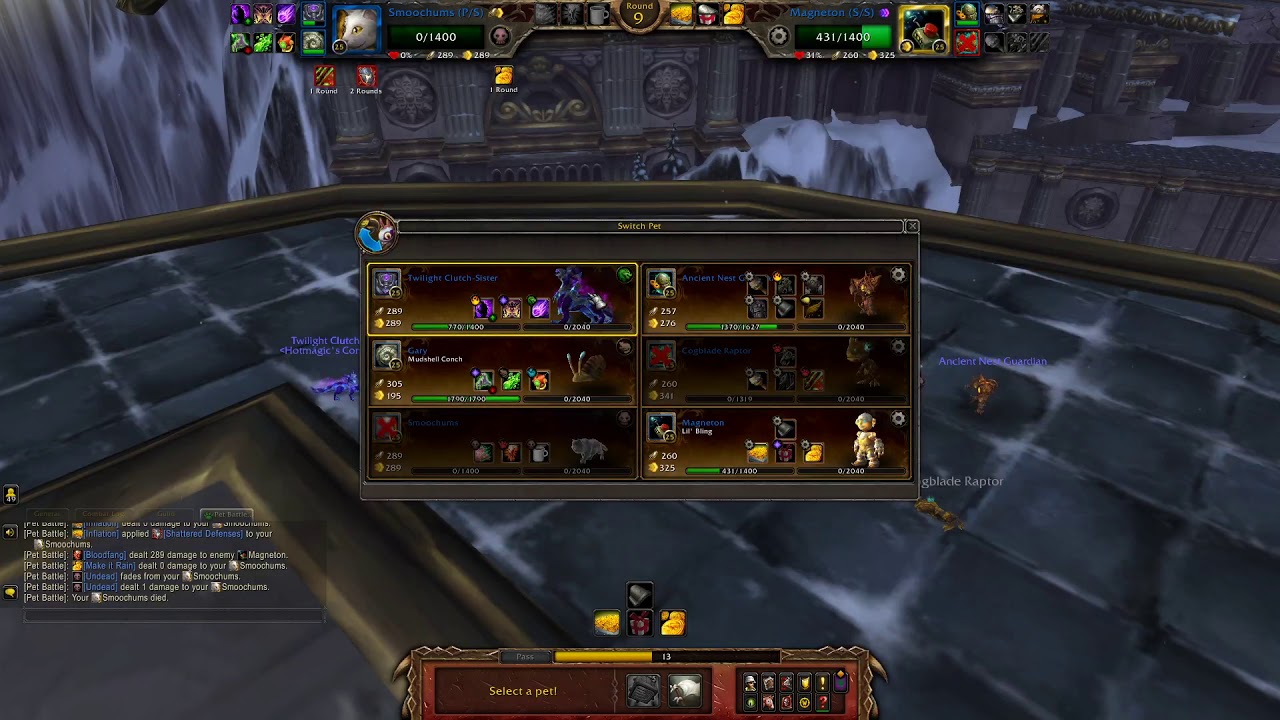 PVP Pet Battles: Top 3 Best Tier 1 Pets For Dragonkin! - YouTube