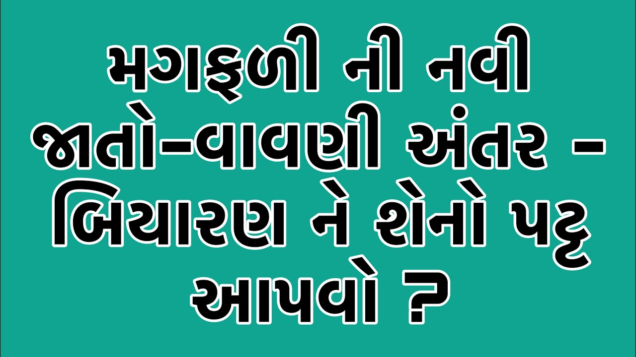 આજની કૃષિ માહિતી-મગફળી ની નવી જાતો-વાવણી અંતર - બિયારણ ને શેનો પટ્ટ ...