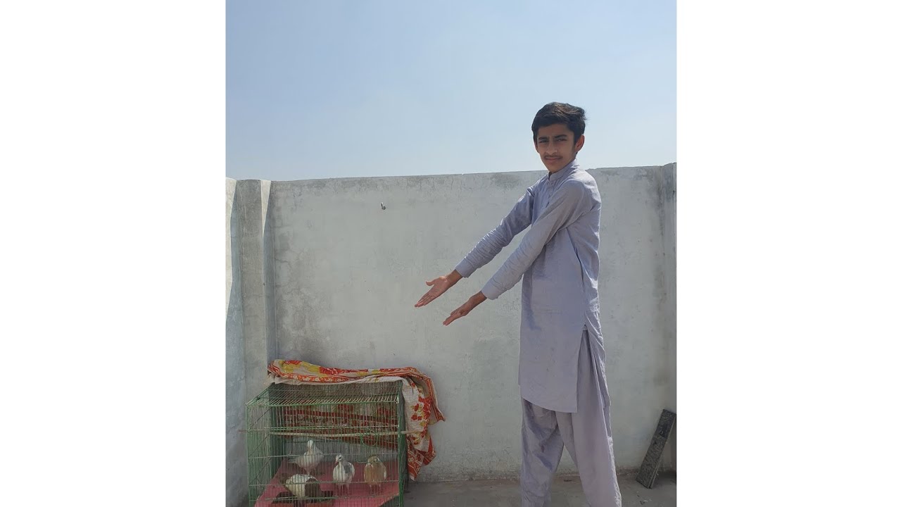 #pegen change is ready🕊🥰 - YouTube