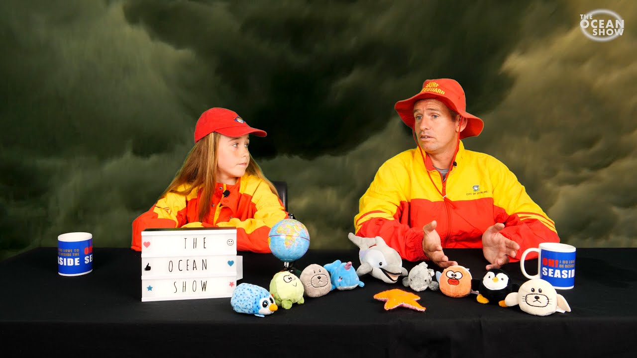 The Ocean Show - Episode 2 - YouTube