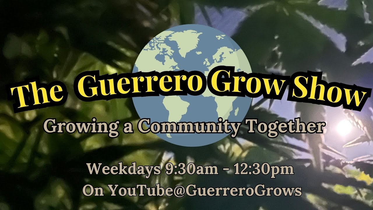 The Guerrero Grow Show: Celebrating a Successful Outdoor Season! - YouTube