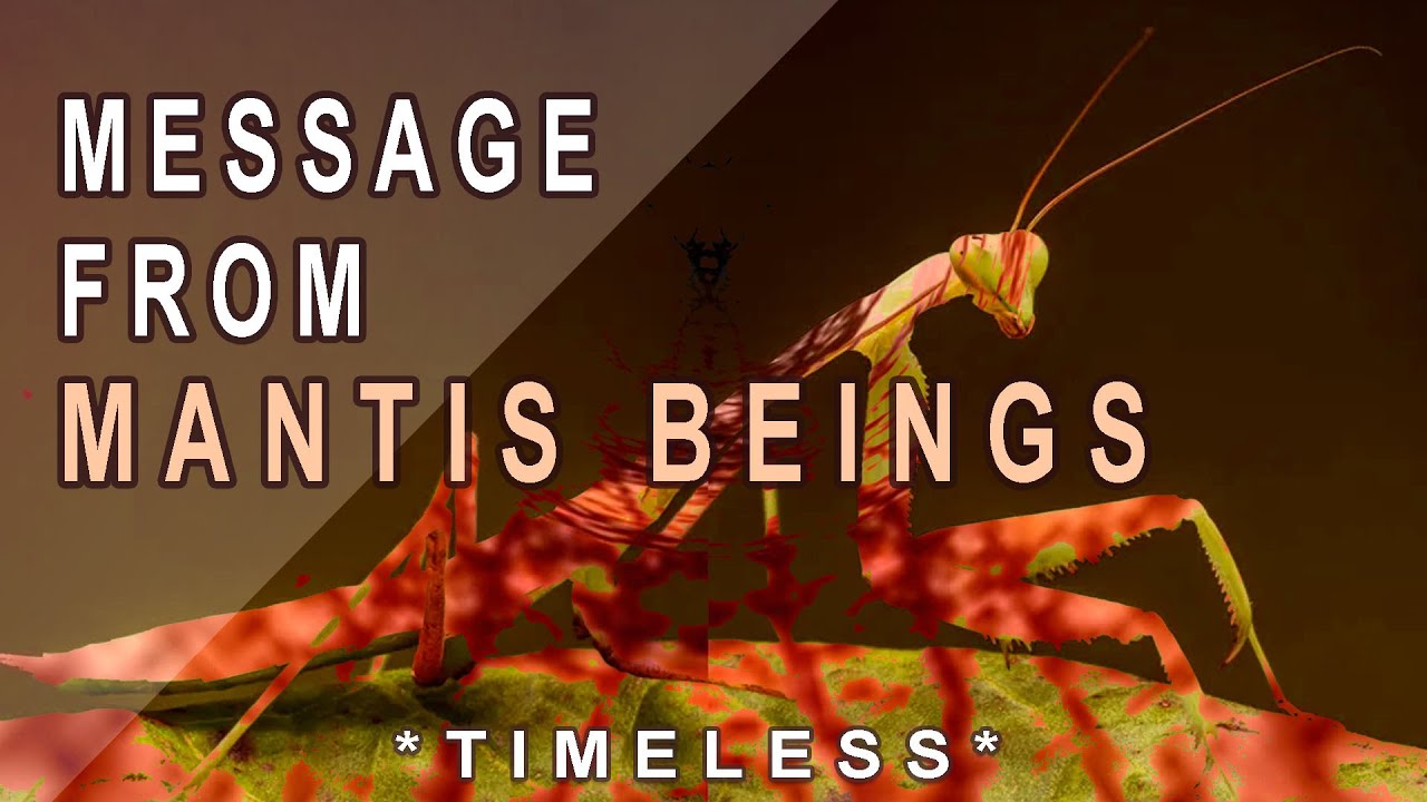 MIND-BLOWING Message from Mantis Beings📨🛸 *Timeless reading* - YouTube