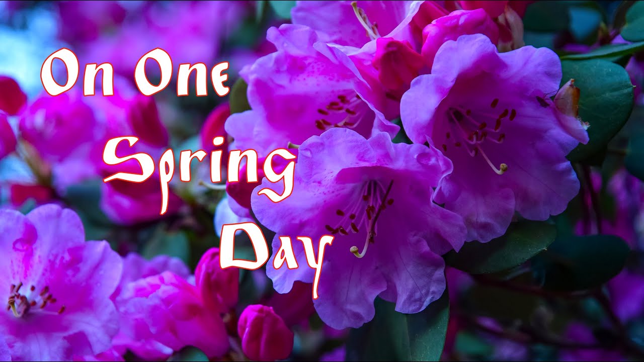 On One Spring Day. Vorwerkpark Wuppertal. - YouTube
