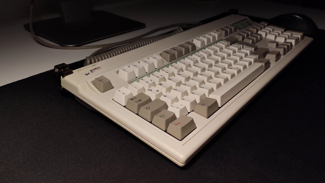 Focus FK-2002 w/ Alps SKCM White | Typing Test - YouTube