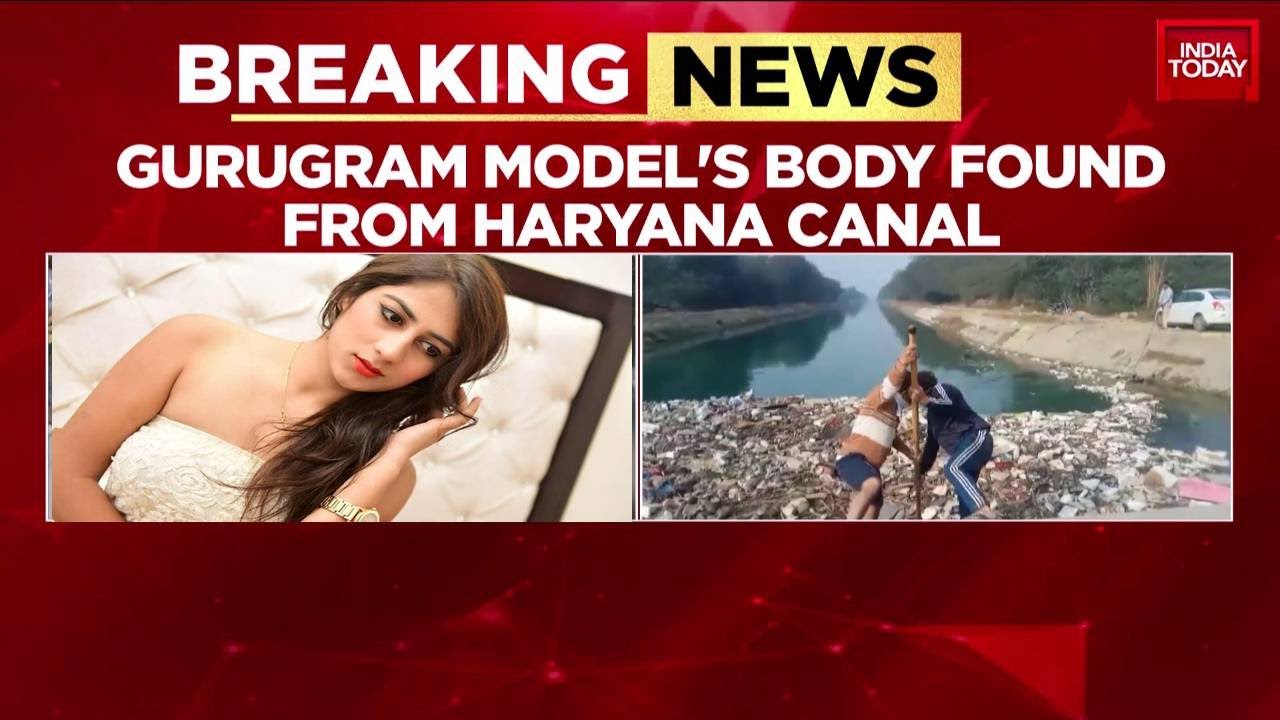 Day After Accused's Confession, Ex-Model Divya Pahuja's Body Found From ...