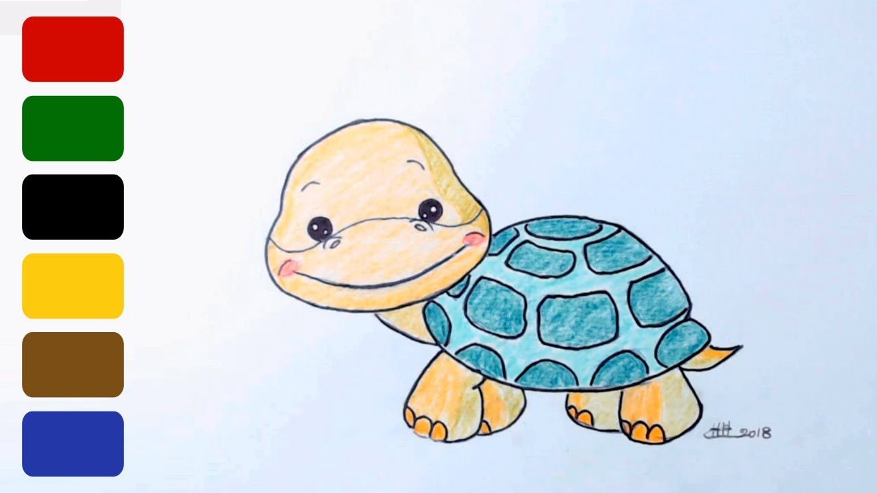 How to Draw a Turtle - Green Sea Turtle - YouTube