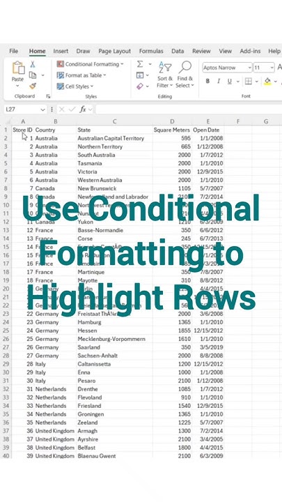 Excel Use Conditional Formatting To Highlight Particular Rows Excel Data Exceltips Youtube