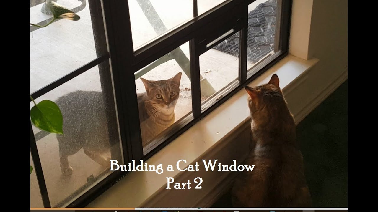 Building a Cat Window Part 2 - YouTube